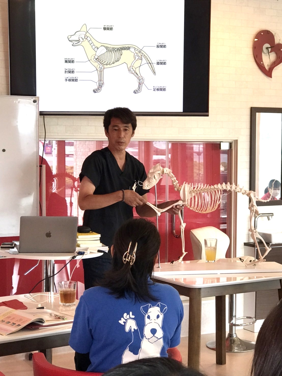 一般社団法人 日本動物専門学校協会主催の教員向け動物理学療法セミナーで講演しました - JAPTA（一般財団法人 日本動物理学療法協会）