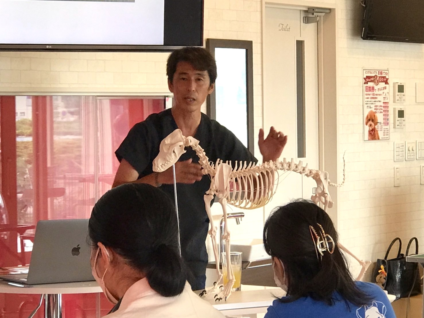 一般社団法人 日本動物専門学校協会主催の教員向け動物理学療法セミナーで講演しました - JAPTA（一般財団法人 日本動物理学療法協会）